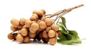 Les longanis sont de sortie ! - COLIPAYS - Le blog